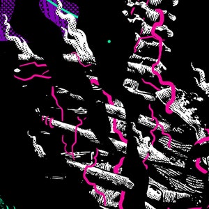 Poster / LSDR FEST IV green silkscreen - Etsy