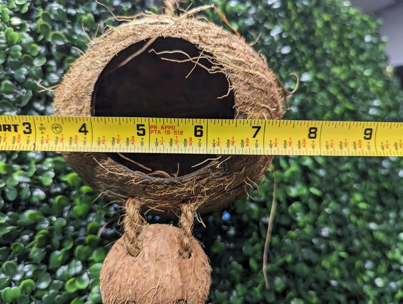 Coconut Hermit Crab Hide With Coconut Bridge Ladder, Enrichment Decor ...