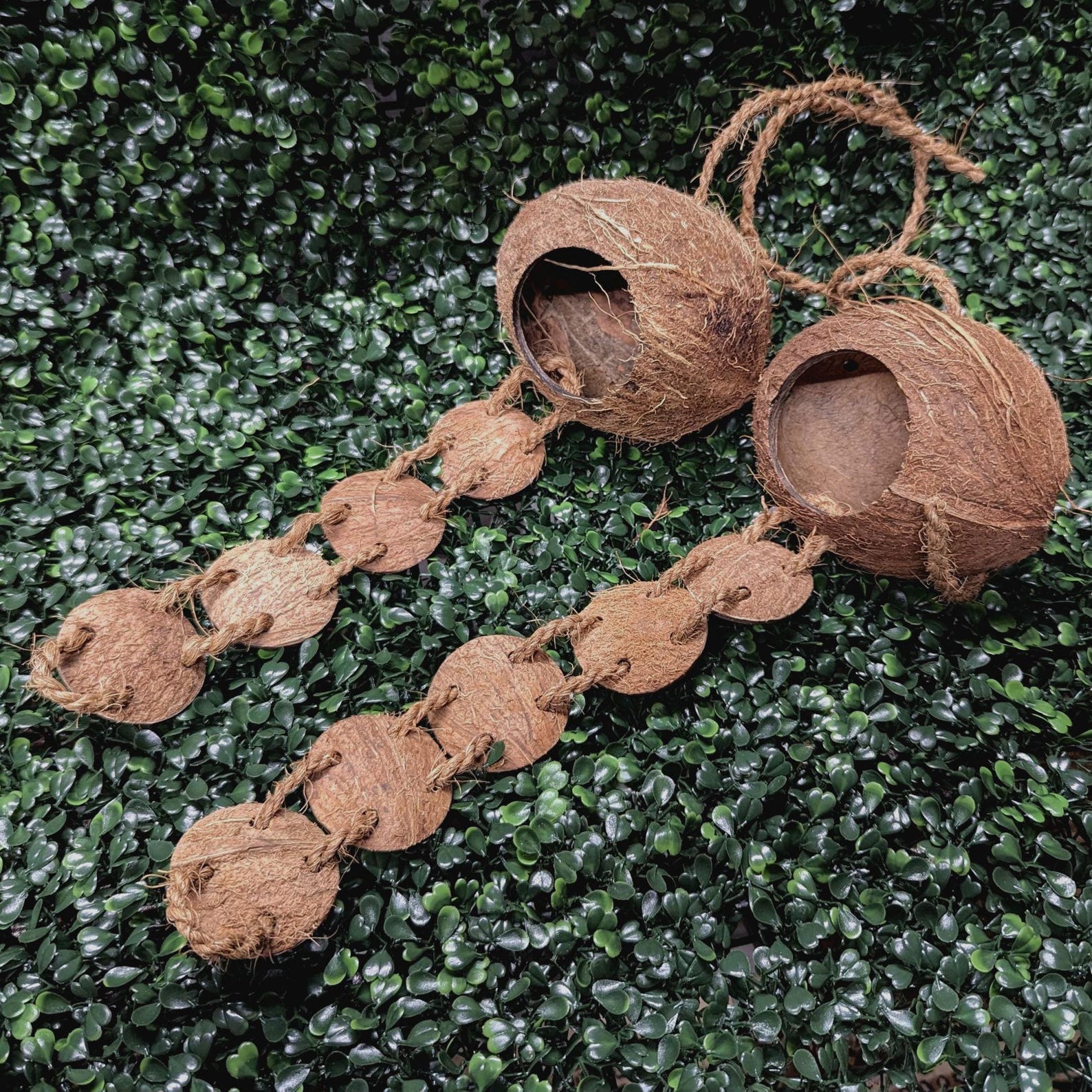 Coconut Hermit Crab Hide With Coconut Bridge Ladder, Enrichment Decor ...