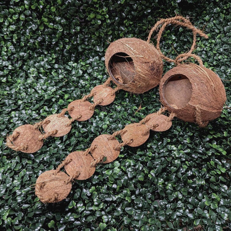 Coconut Hermit Crab Hide With Coconut Bridge Ladder, Enrichment Decor ...
