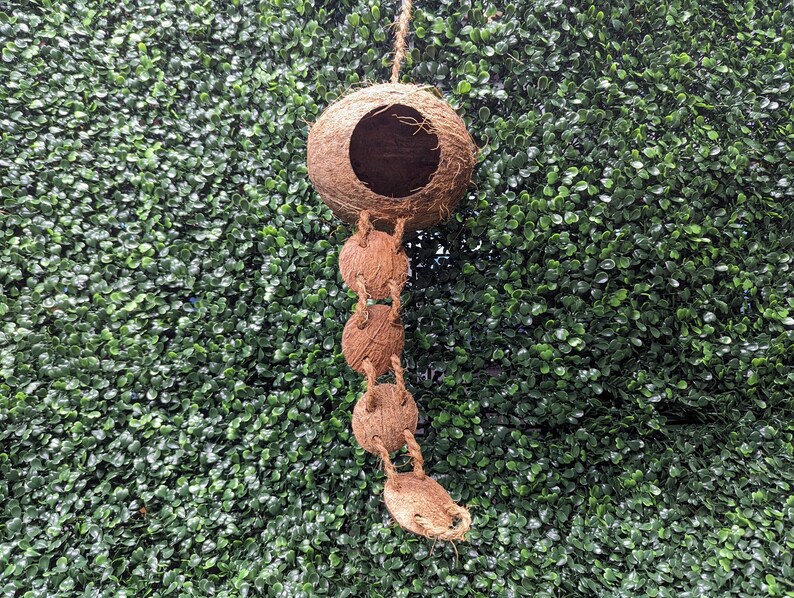 Coconut Hermit Crab Hide With Coconut Bridge Ladder, Enrichment Decor ...