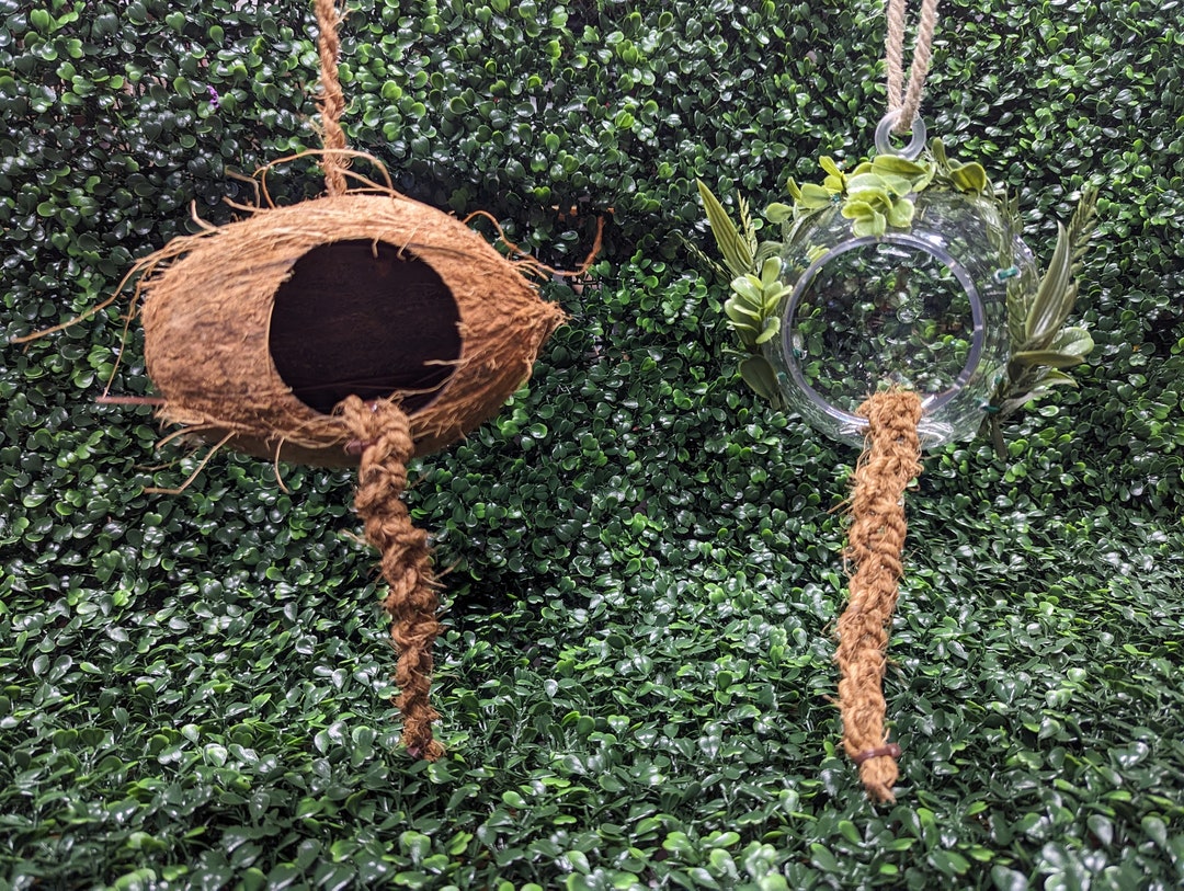 Dome Hides for Pet Hermit Crabs / Crabitat Decor/ Handcrafted Items ...
