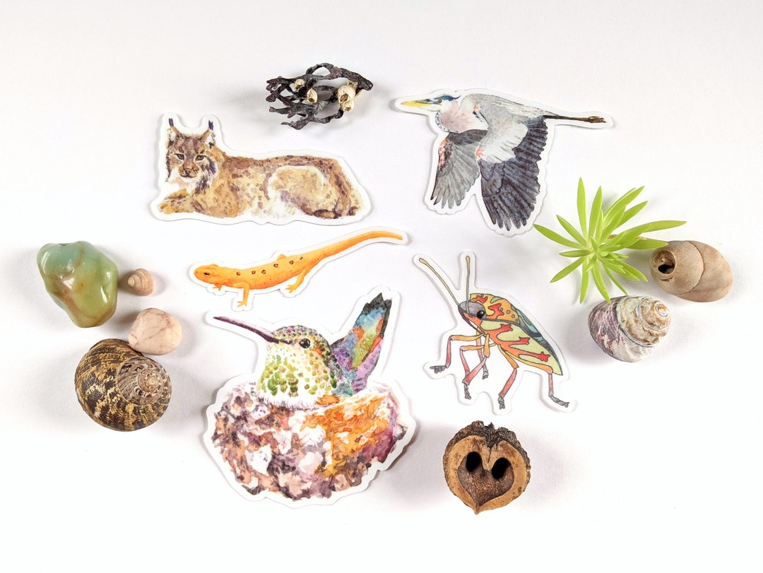Wildlife Art Stickers, 3" Weatherproof Vinyl Stickers / Red Spotted ...