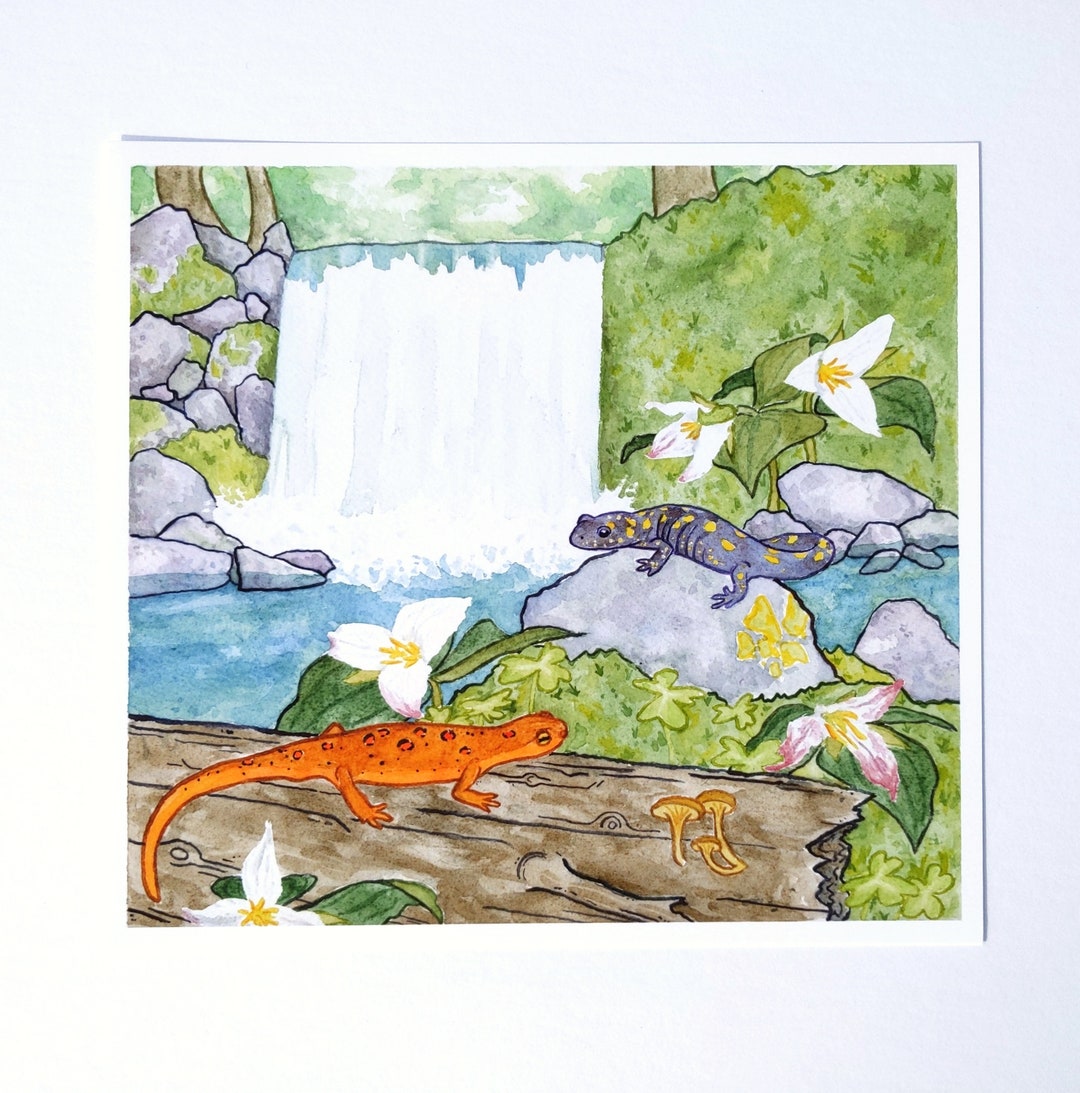 Spring Newts by the Waterfall Watercolor Print / Trillium Flowers ...