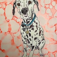 Cut Paper Craft Portrait From a Photo - Pets and Animals - Etsy