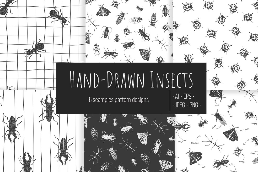 Hand-drawn Insects Digital Paper in Black and White, Commercial Use ...