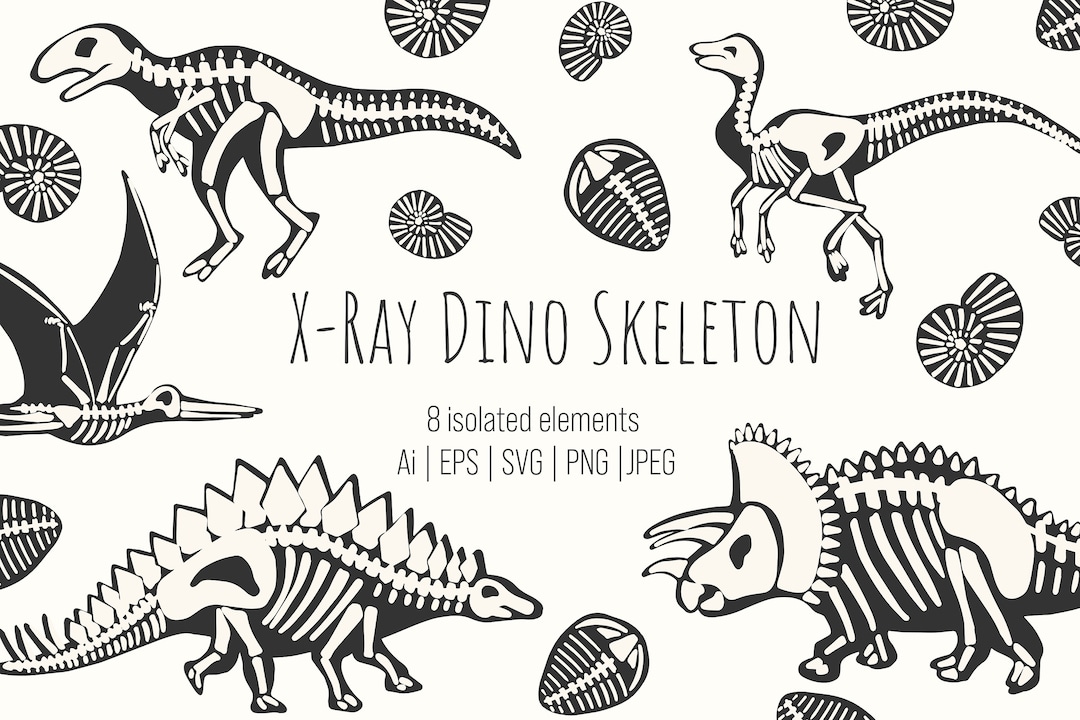 X-ray Dino Skeleton Vector Clipart, 8 Isolated Elements, Commercial Use ...
