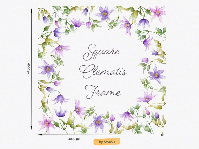 Clematis Floral Botanical Watercolor Square Frame PNG File - Floral ...