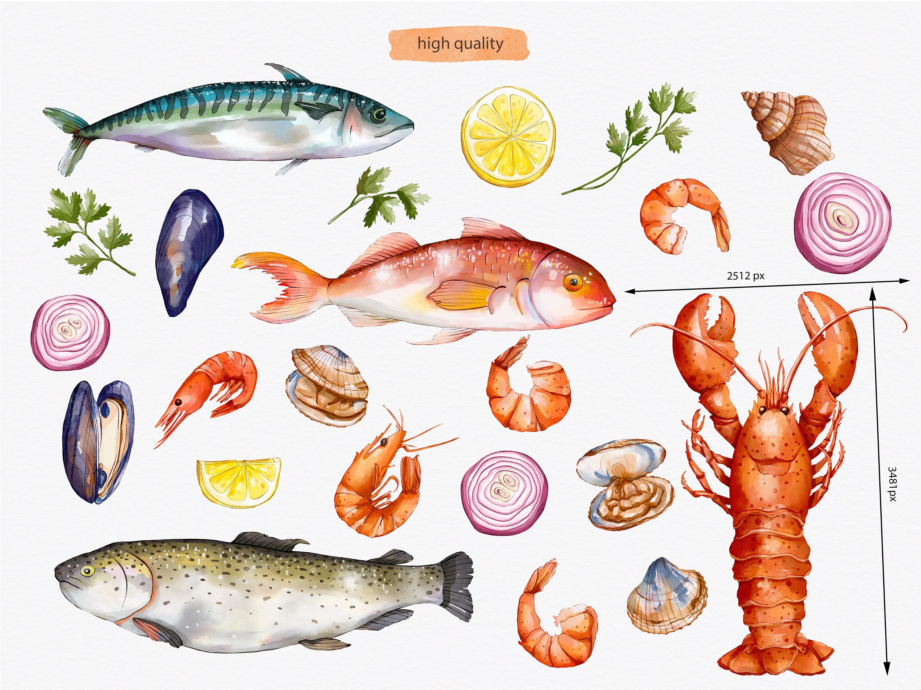 Seafood Watercolor Digital Clipart - Individual PNG Files Graphic Set ...