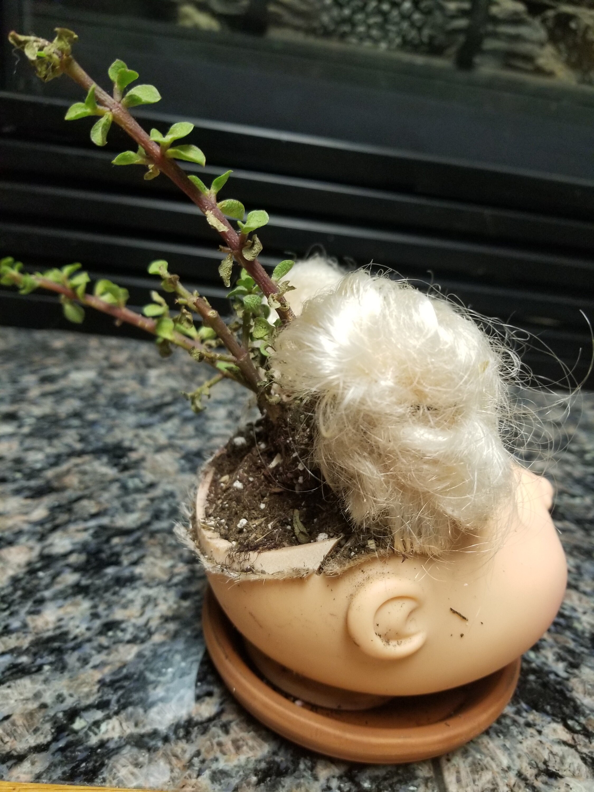 Cabbage Patch Head Planter - Etsy