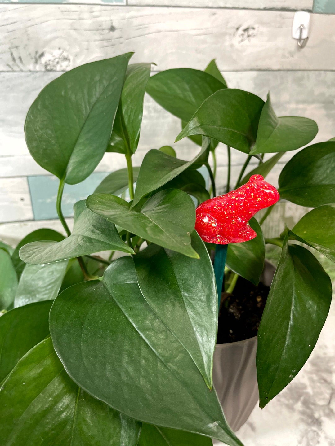 Resin Frog Figurine, Plant Buddy, Plant Guardian, Plant Accessory ...