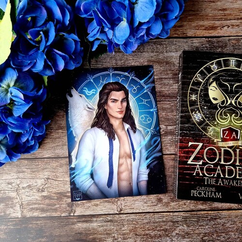 BFF Peace Sign Sticker Zodiac Academy Seth Capella & Caleb - Etsy