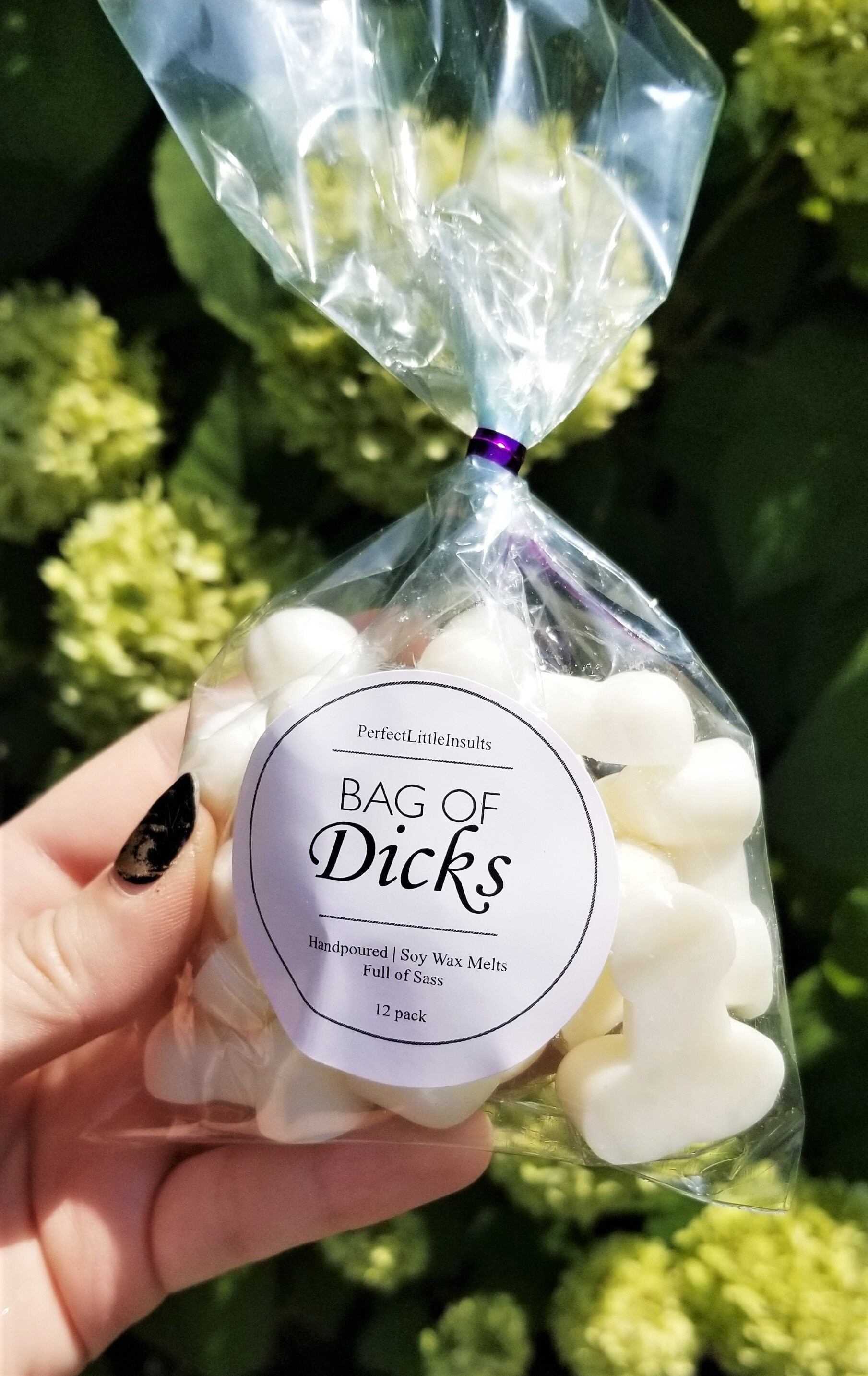 Bag Of Dicks Wax Melts Soy Wax Melts Penis Wax Melts Funny Etsy Canada