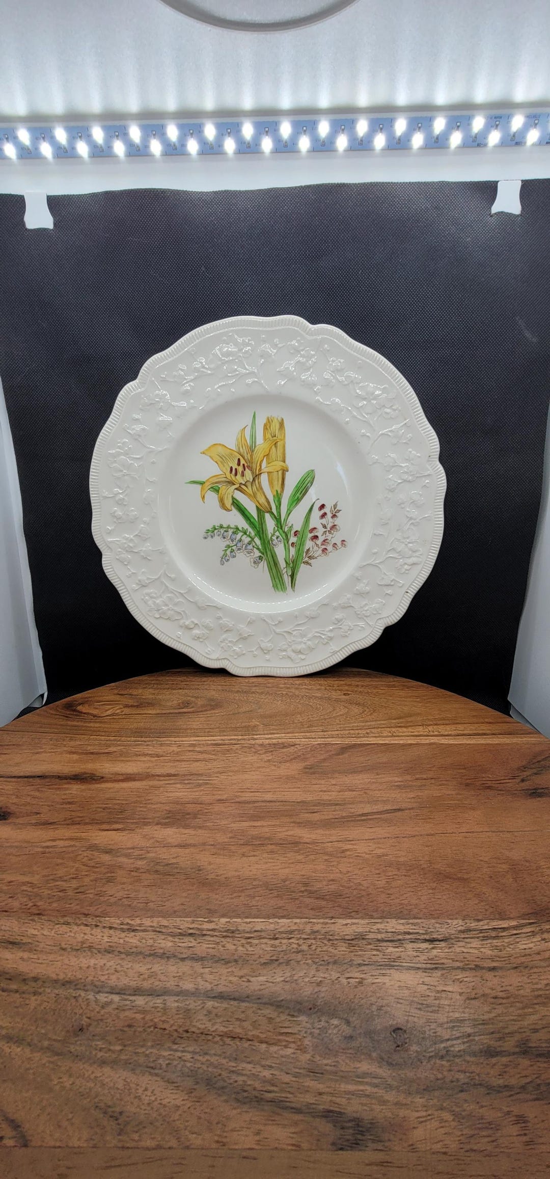 Johnson Brothers Lily Dinner Plate, Embossed, 10.5 Inch Diameter, White ...