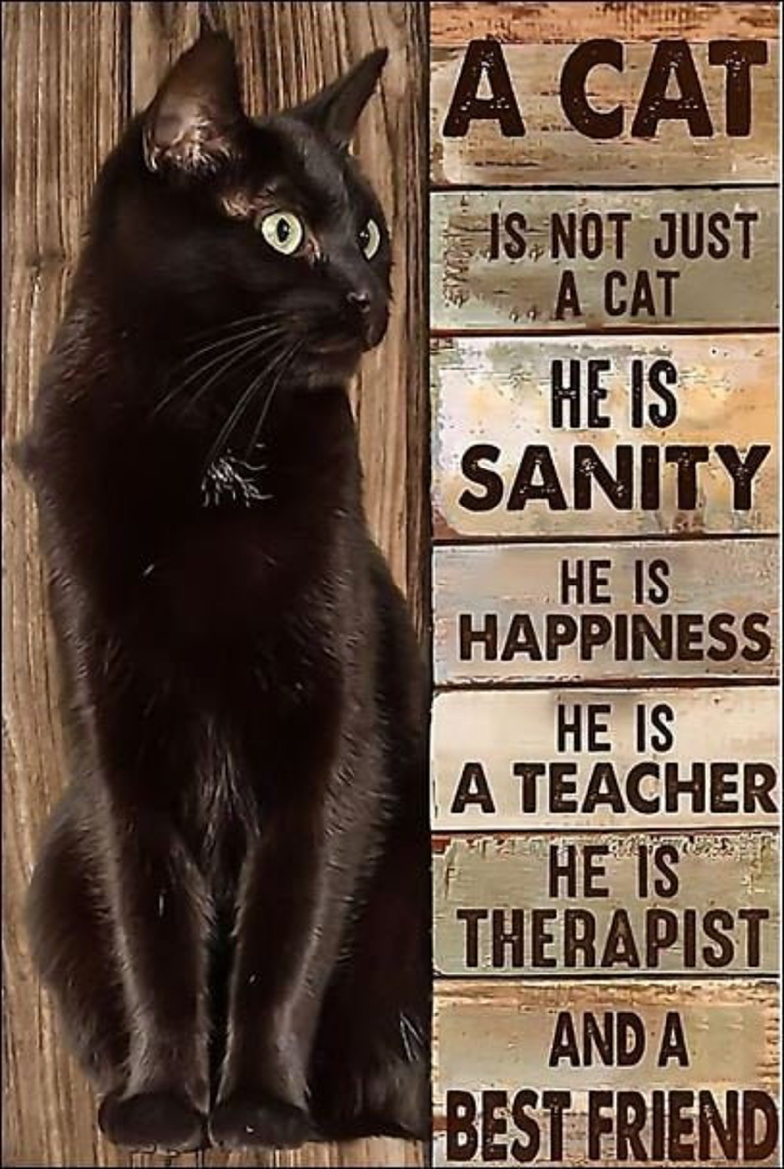 A cat is not just a cat he is sanity he is happiness poster | Etsy
