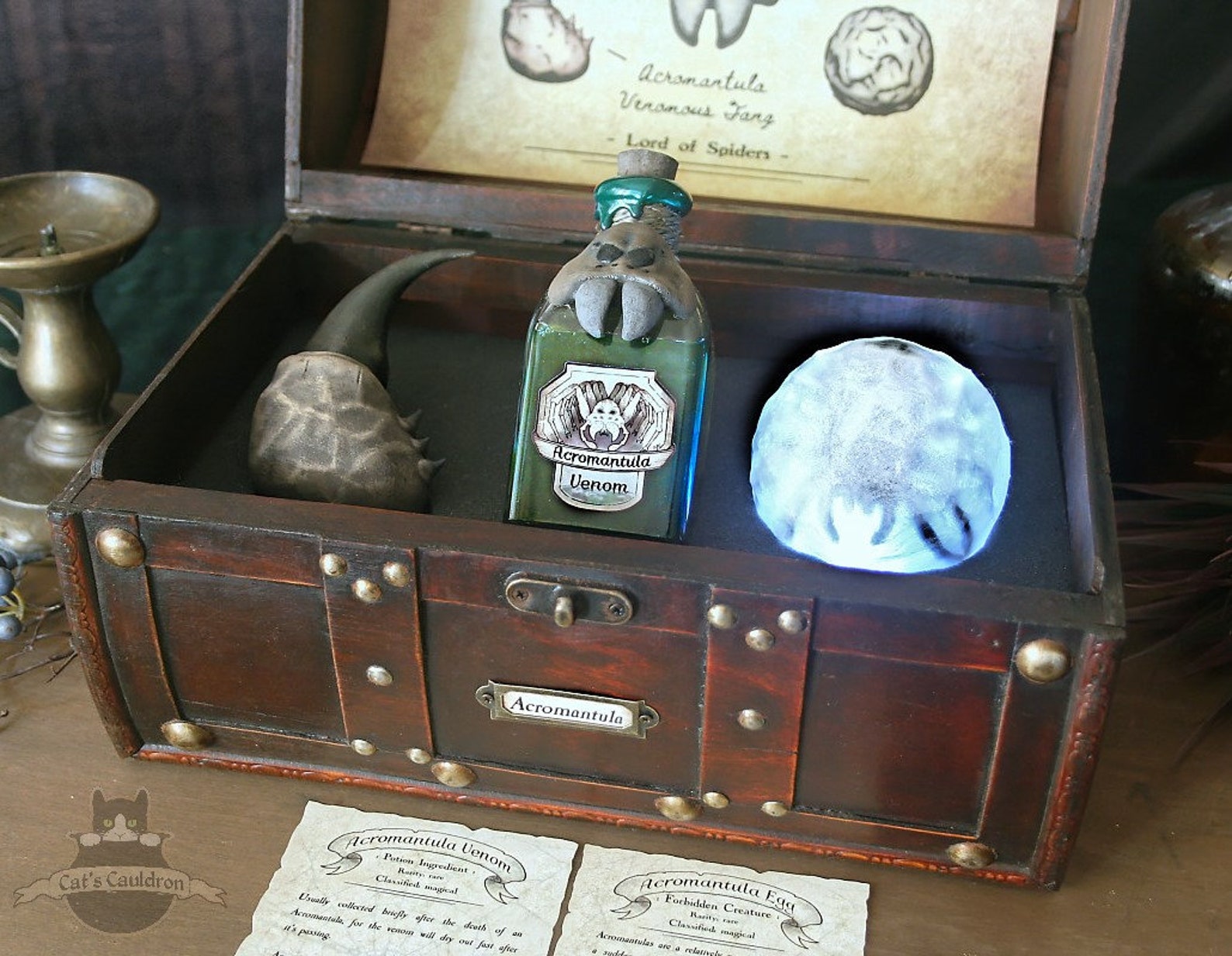 Giant Spider Anatomy Large Chest Light up Egg Fang Venom - Etsy