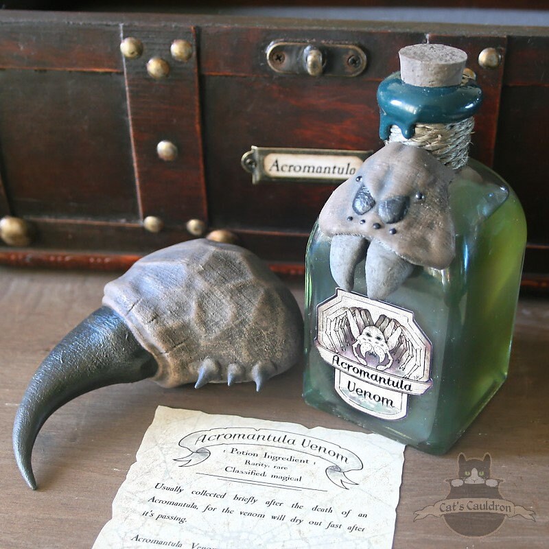 Giant Spider Anatomy Large Chest Light up Egg Fang Venom - Etsy