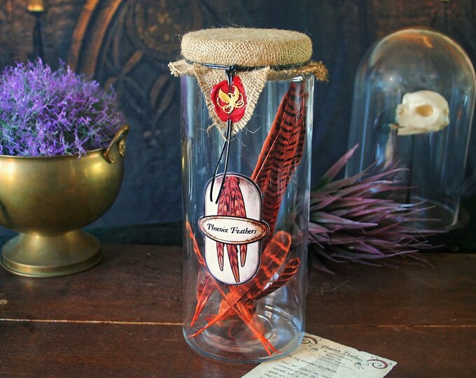 Phoenix Feathers Pre-made Witches Apothecary Bottle - Etsy