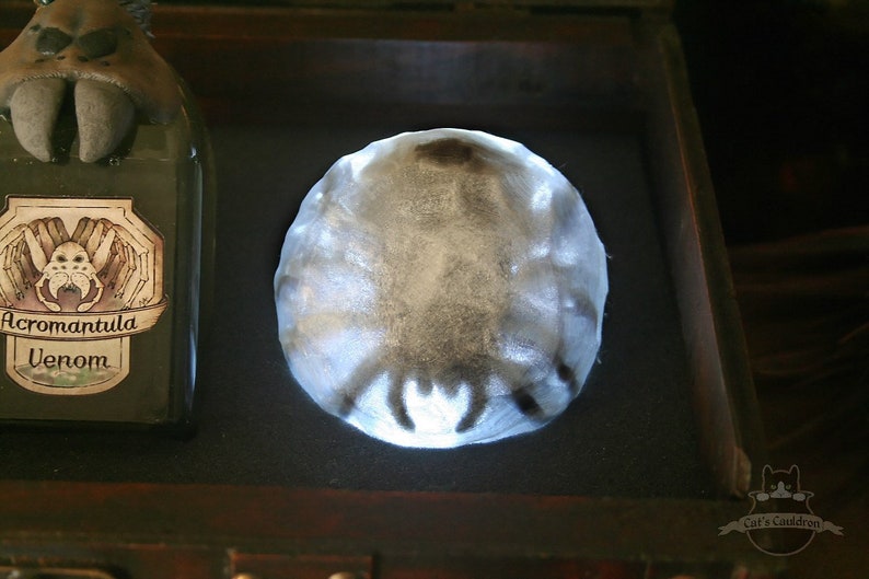 Giant Spider Anatomy Large Chest Light up Egg Fang Venom - Etsy
