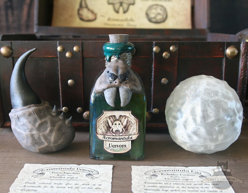 Giant Spider Anatomy Large Chest Light up Egg Fang Venom - Etsy