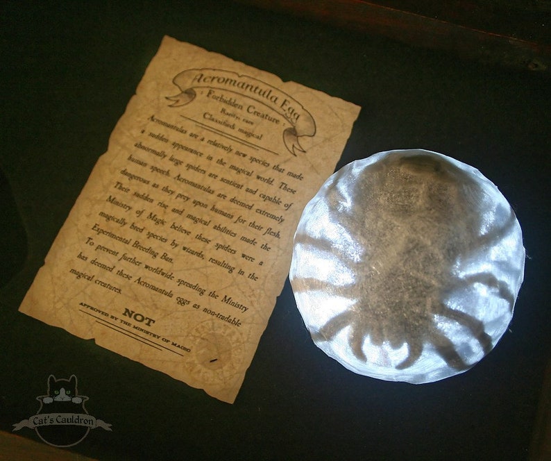 Giant Spider Anatomy Large Chest Light up Egg Fang Venom - Etsy