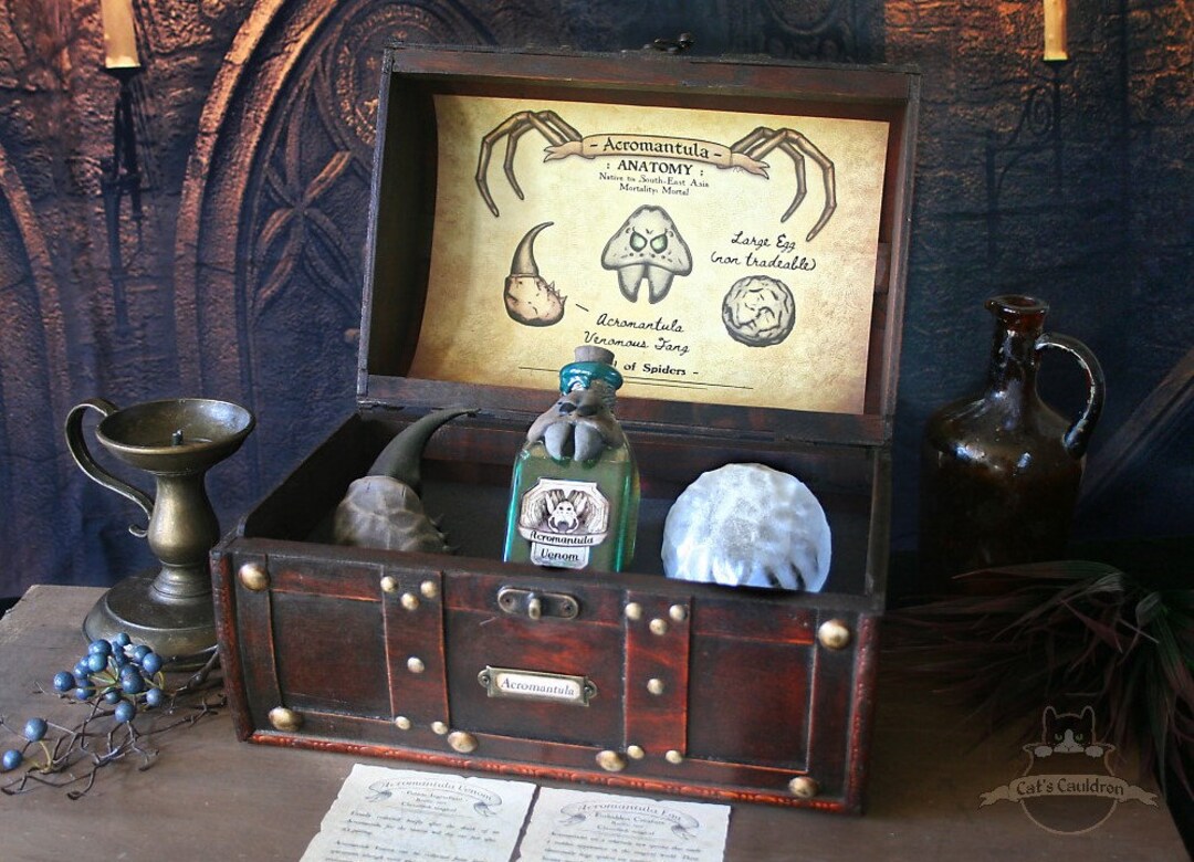 Giant Spider Anatomy Large Chest Light up Egg Fang Venom Potion Bottle ...