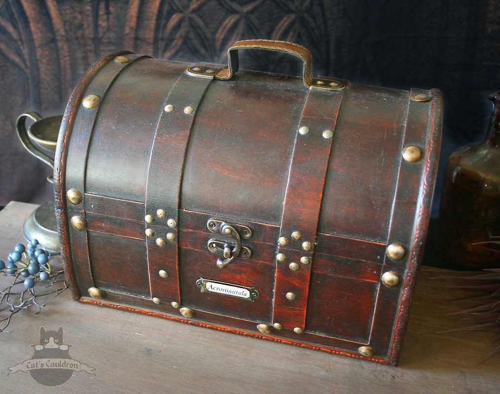 Giant Spider Anatomy Large Chest Light up Egg Fang Venom - Etsy