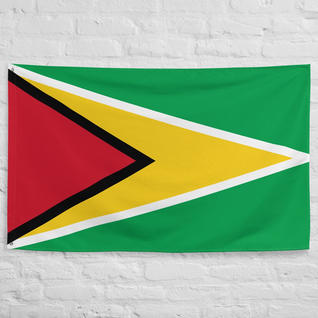 Guyana Guyanese Flag Wall Decor Art Print Banner Gift Ideas - Etsy