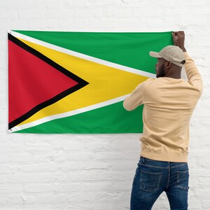 Guyana Guyanese Flag Wall Decor Art Print Banner Gift Ideas - Etsy