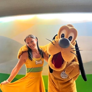 pluto disney bound