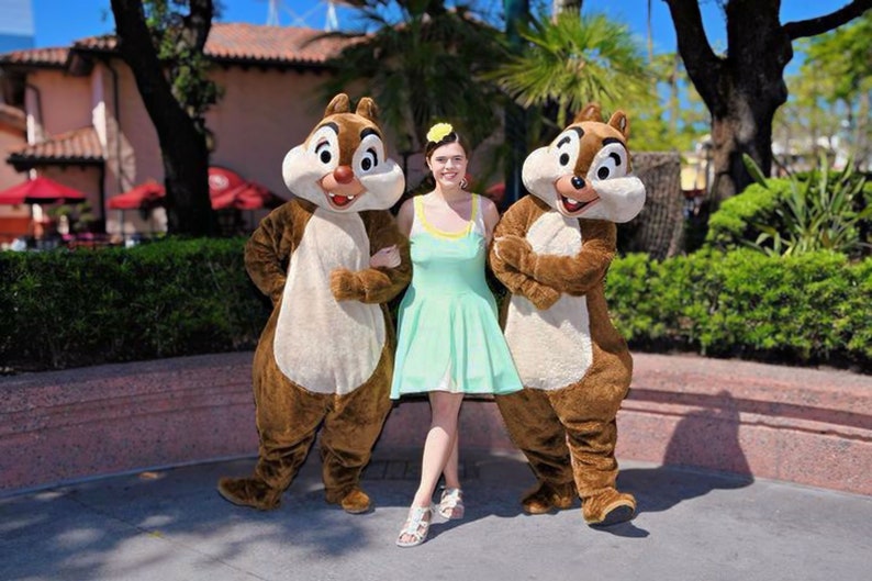 Clarice Chipmunk Skater Dress – Forest-inspired Disneybound Look | Co ...