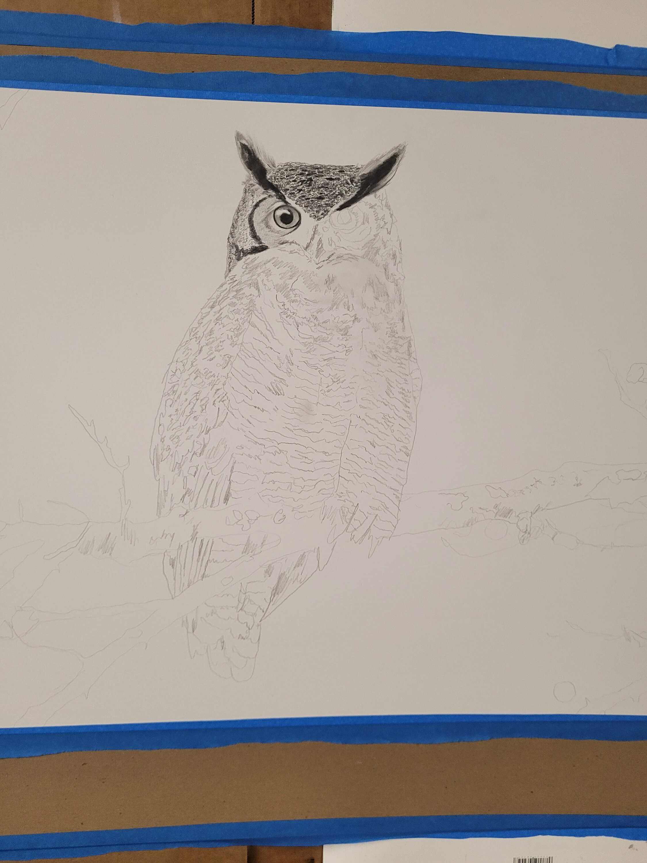 Bill Draper Owl Fine Art Print | Richmond Art | James River Art | Owl ...