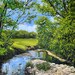 The River Close to Home Canvas Print Landscape Landscape Art Landscape ...