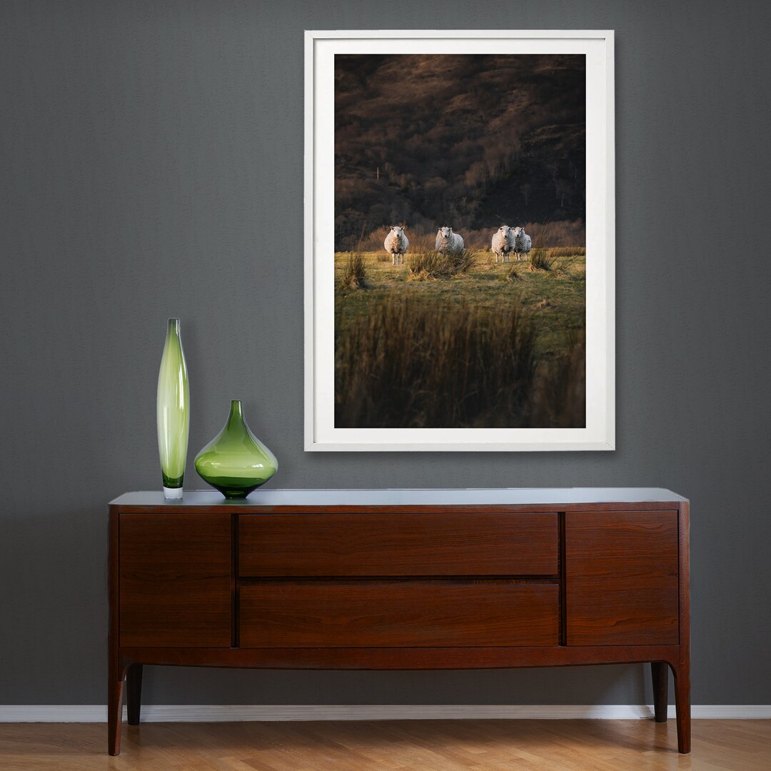 The Four Sheep, Sheep Wall Decor, Scotland, Farmhouse Print, Farm Decor ...