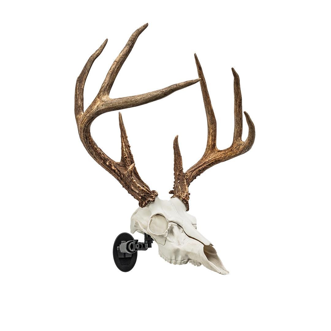UROADX UX1 European Skull Wall Display Mount Hanger - Etsy