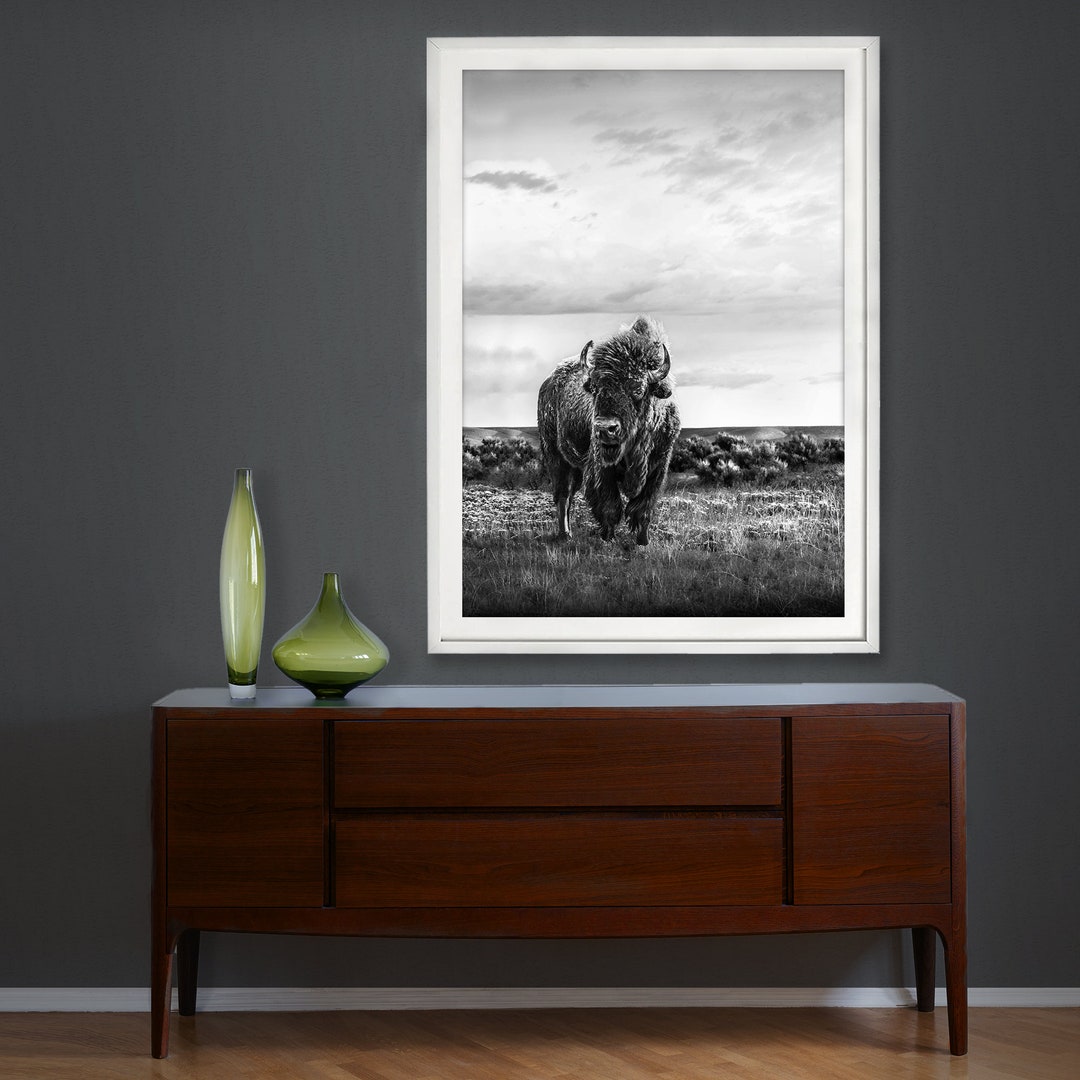 Buffalo Print, Bison Wall Art, American Bison Print, Black White Animal ...