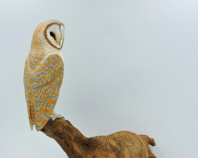 Barn Owl on the Root, a Wooden Sculpture of an Owl. - Etsy