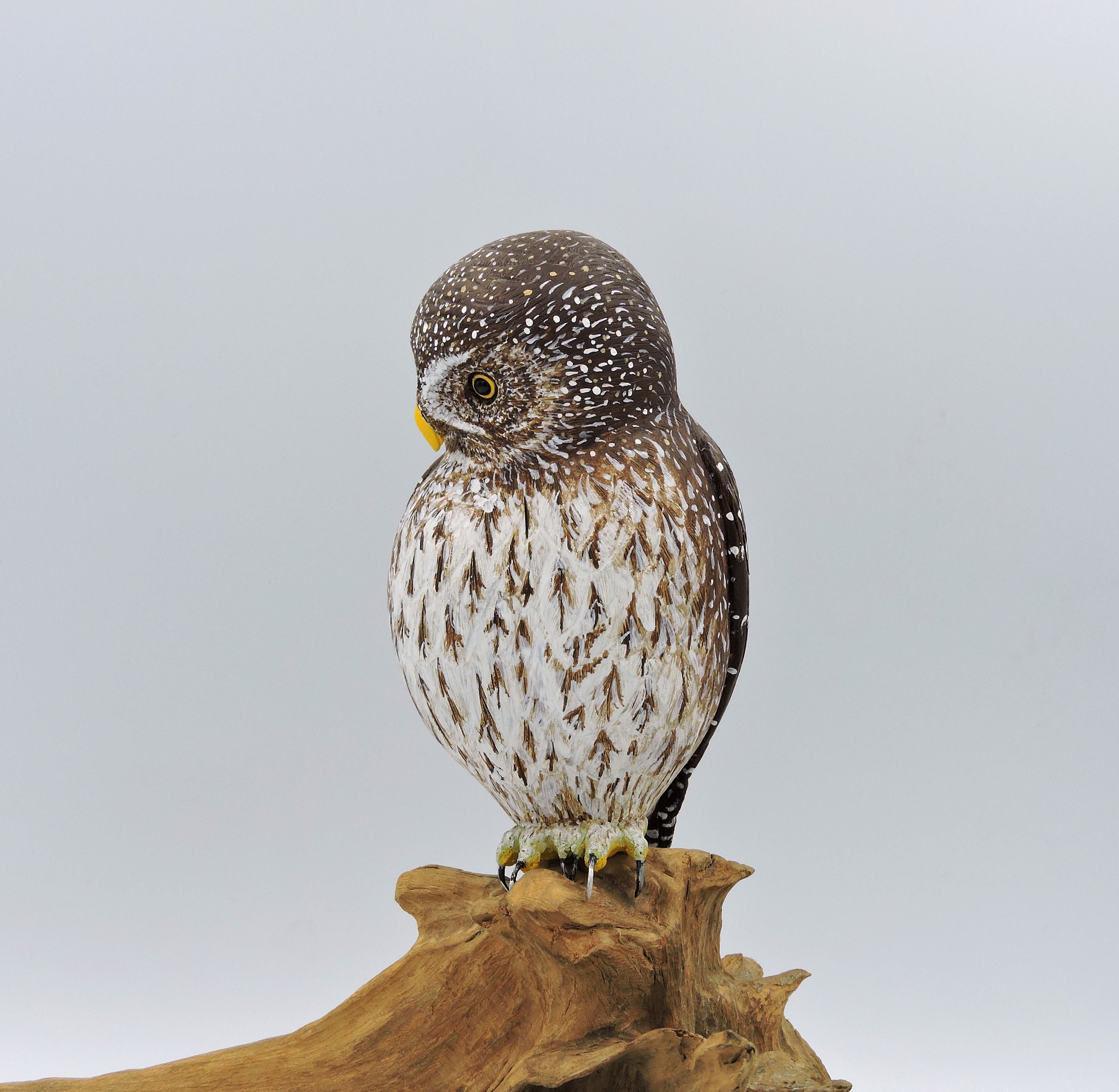 Pygmy Owl on the Root, a Wooden Sculpture of an Owl, Sperlingskauz ...
