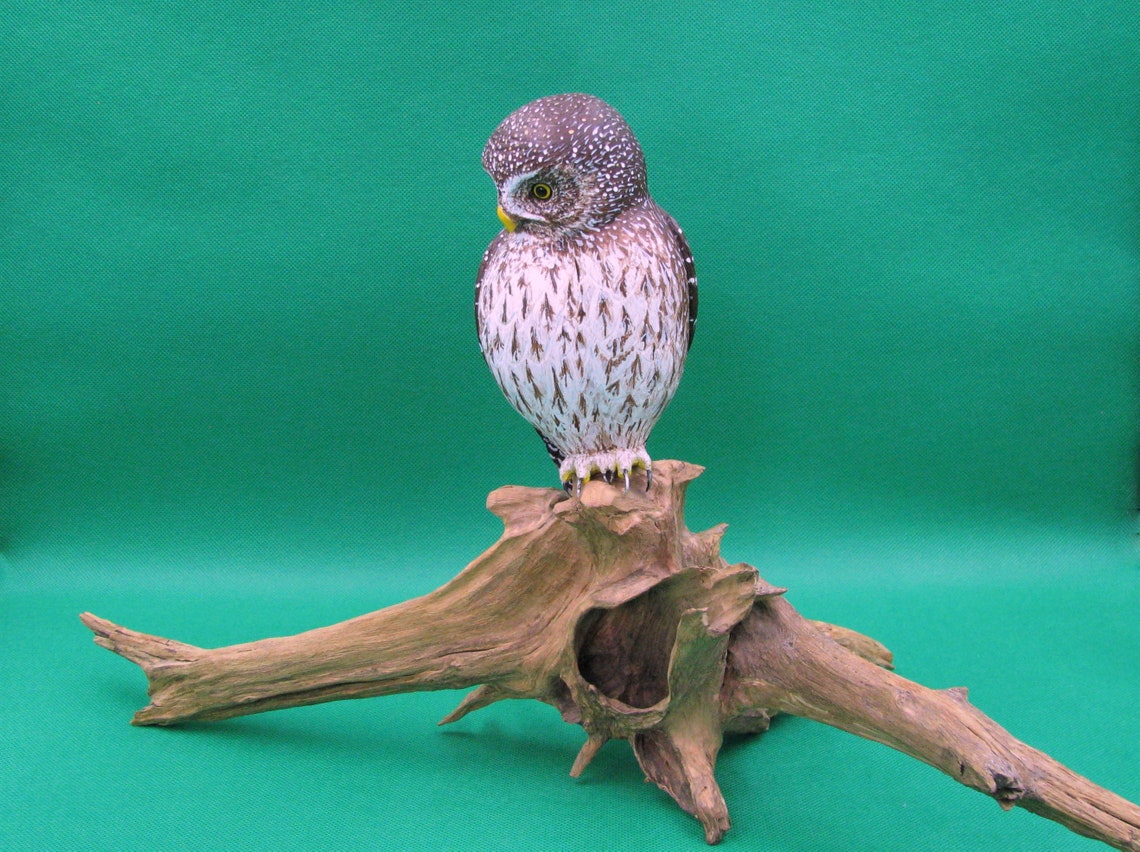 Pygmy Owl on the Root a Wooden Sculpture Sperlingskauz | Etsy