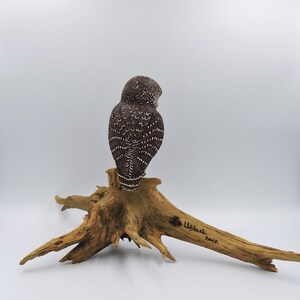 Pygmy Owl on the Root, a Wooden Sculpture of an Owl, Glaucidium ...
