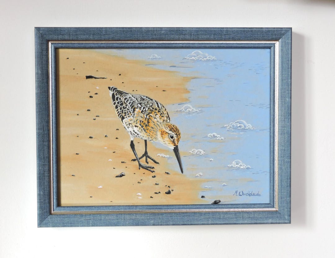 An Original Painting of Dunlin, a Shorebird Picture. - Etsy