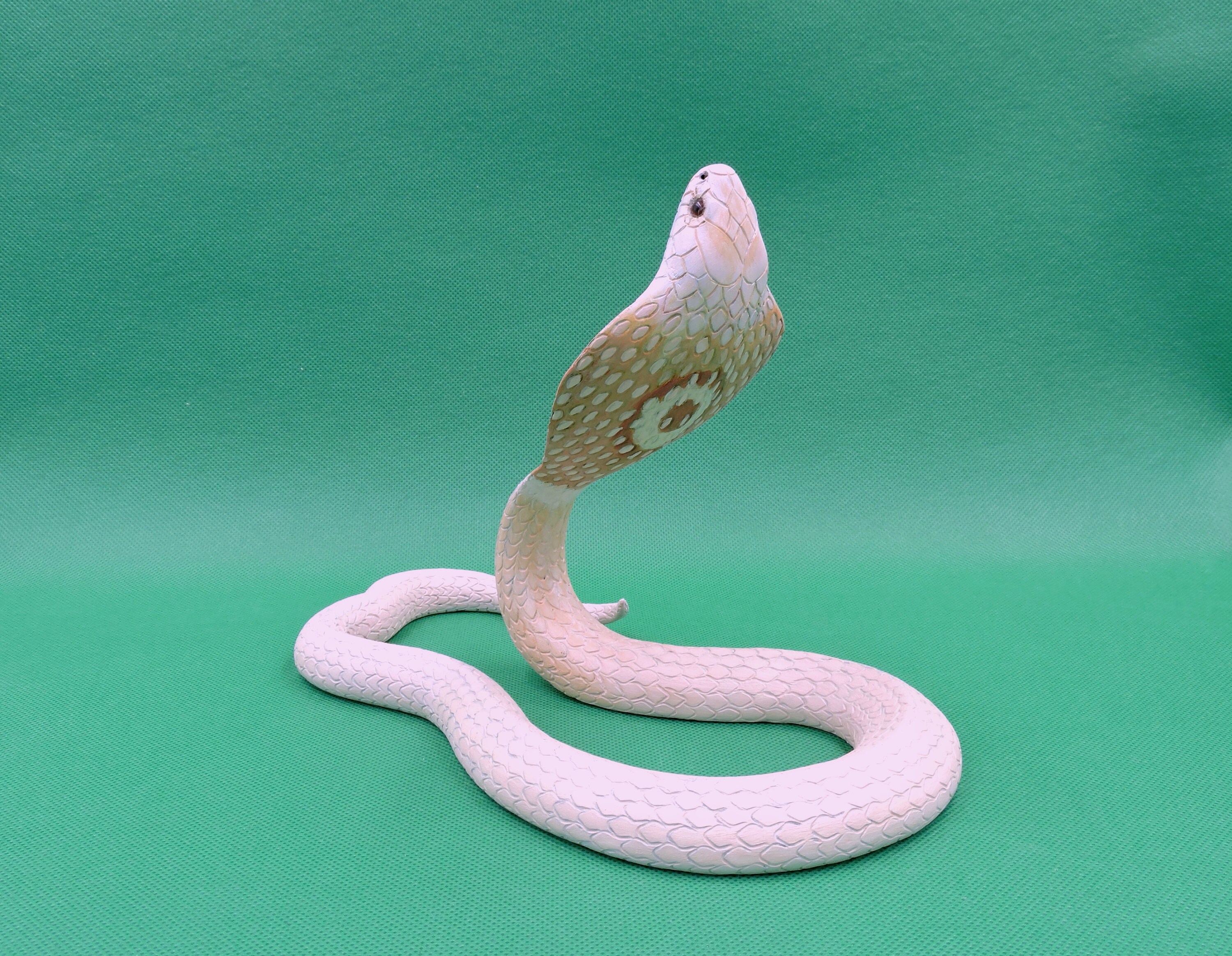 Leucistic Monocled Cobra