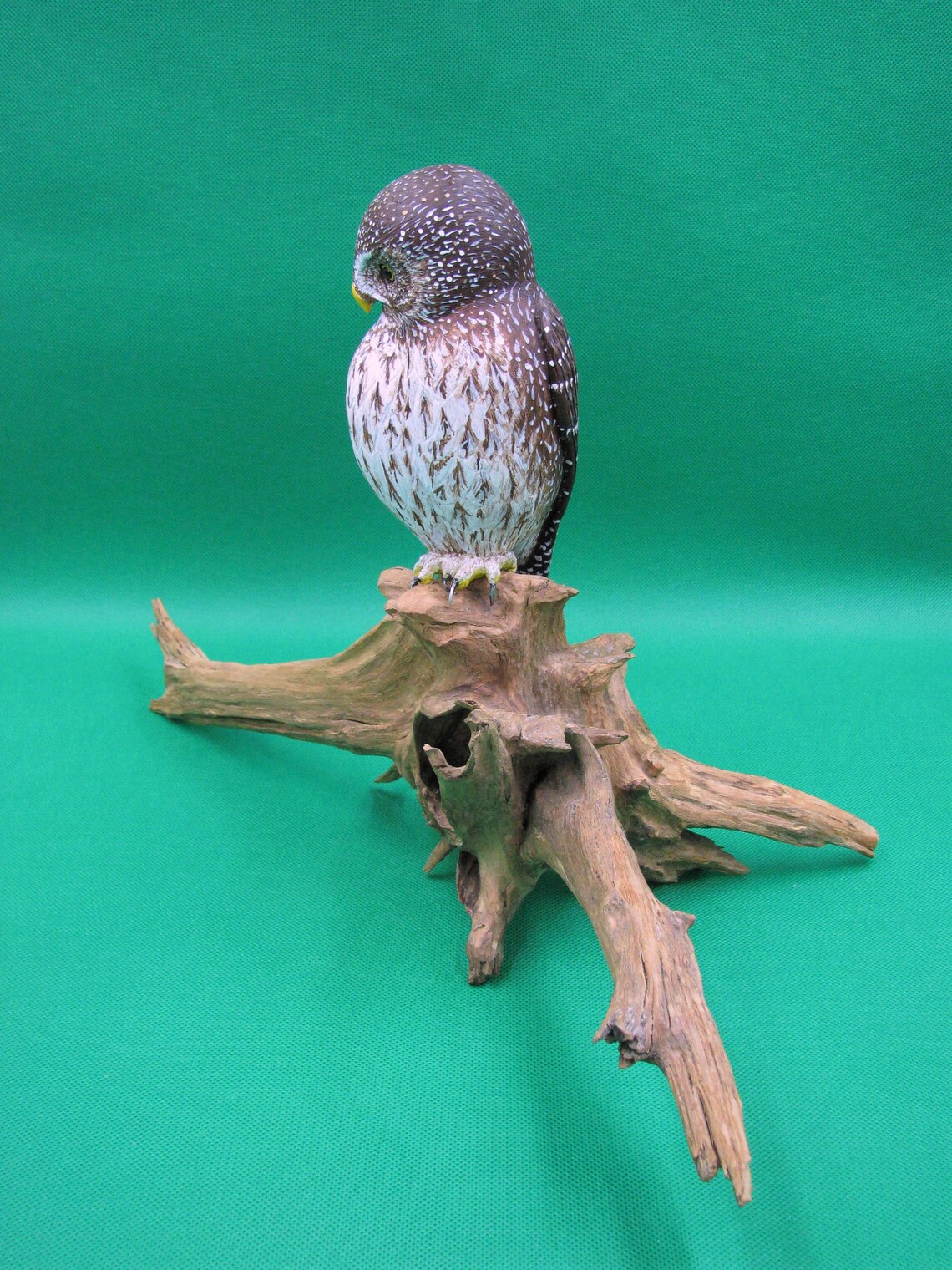 Pygmy Owl on the Root a Wooden Sculpture Sperlingskauz | Etsy