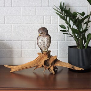 Pygmy Owl on the Root, a Wooden Sculpture of an Owl, Glaucidium ...