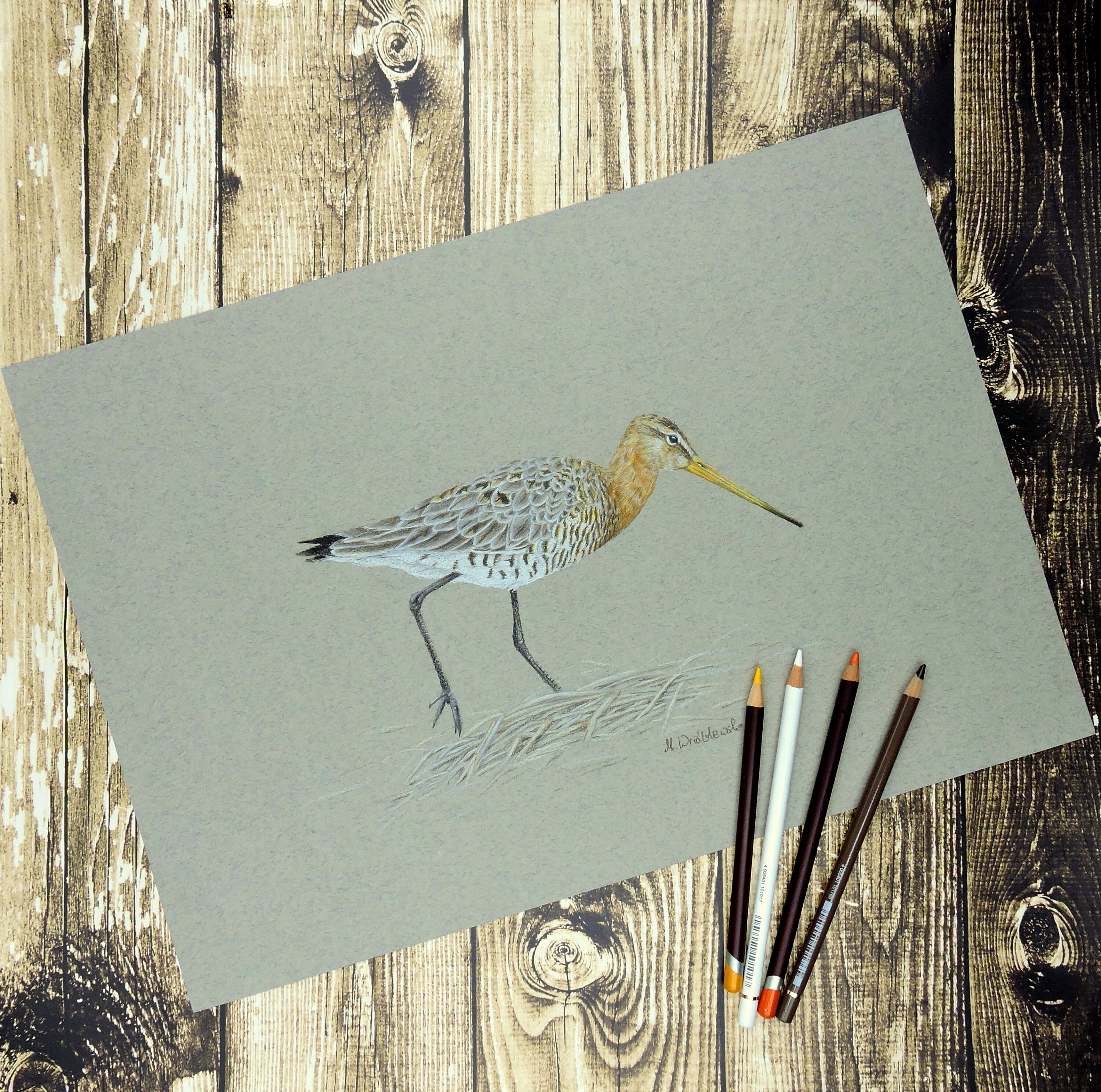 Black-tailed Godwit, an Original Drawing, Bird Drawing. - Etsy
