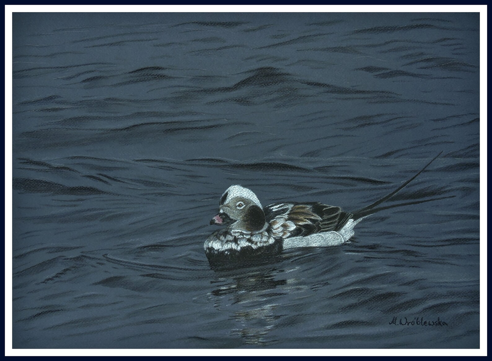 Long-tailed Duck Swimming in the Sea, an Original Drawing. - Etsy