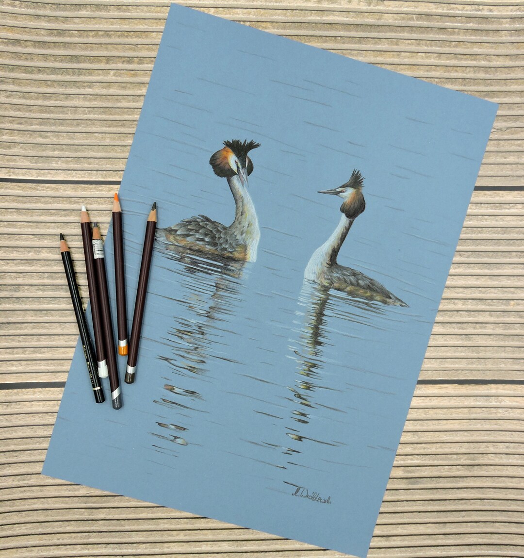 Great Crested Grebes Courtship Dance, Original Drawing, Bird Picture ...