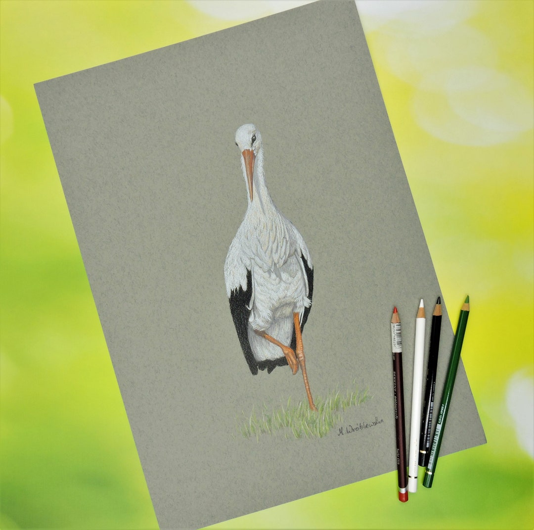 White Stork, an Original Drawing, Bird Drawing. - Etsy