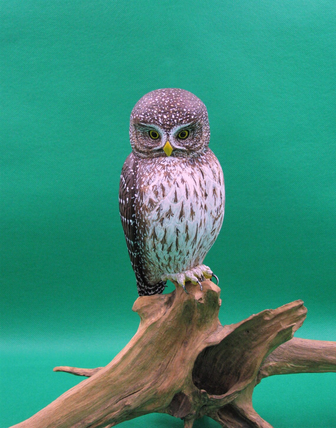 Pygmy Owl on the Root a Wooden Sculpture Sperlingskauz | Etsy
