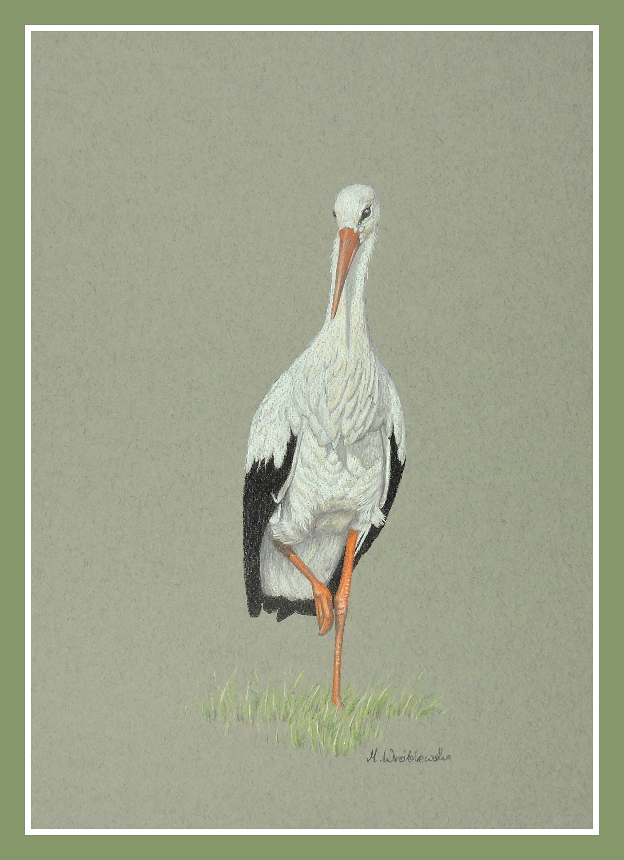 White Stork, an Original Drawing, Bird Drawing. - Etsy